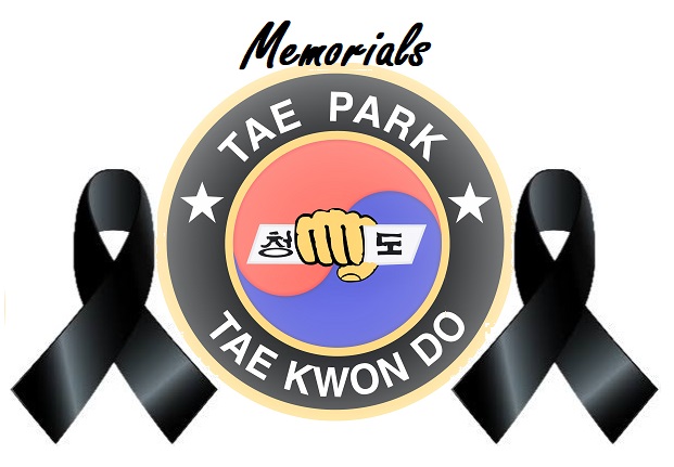 News – Tae Park Tae Kwon Do